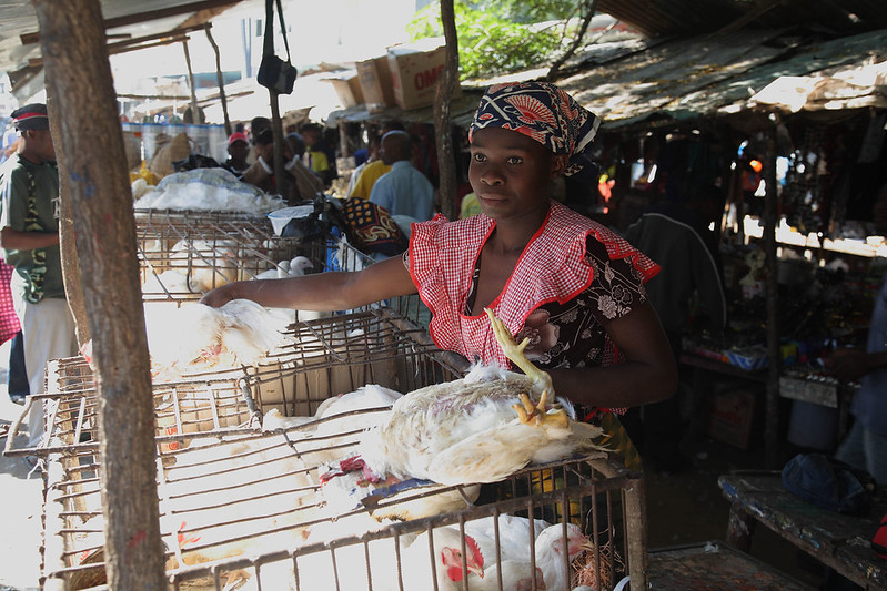 Support mixed smallholder farms