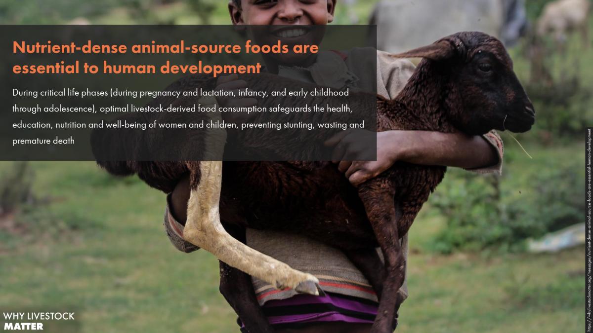 Nutrient-dense animal-source foods are essential to human development